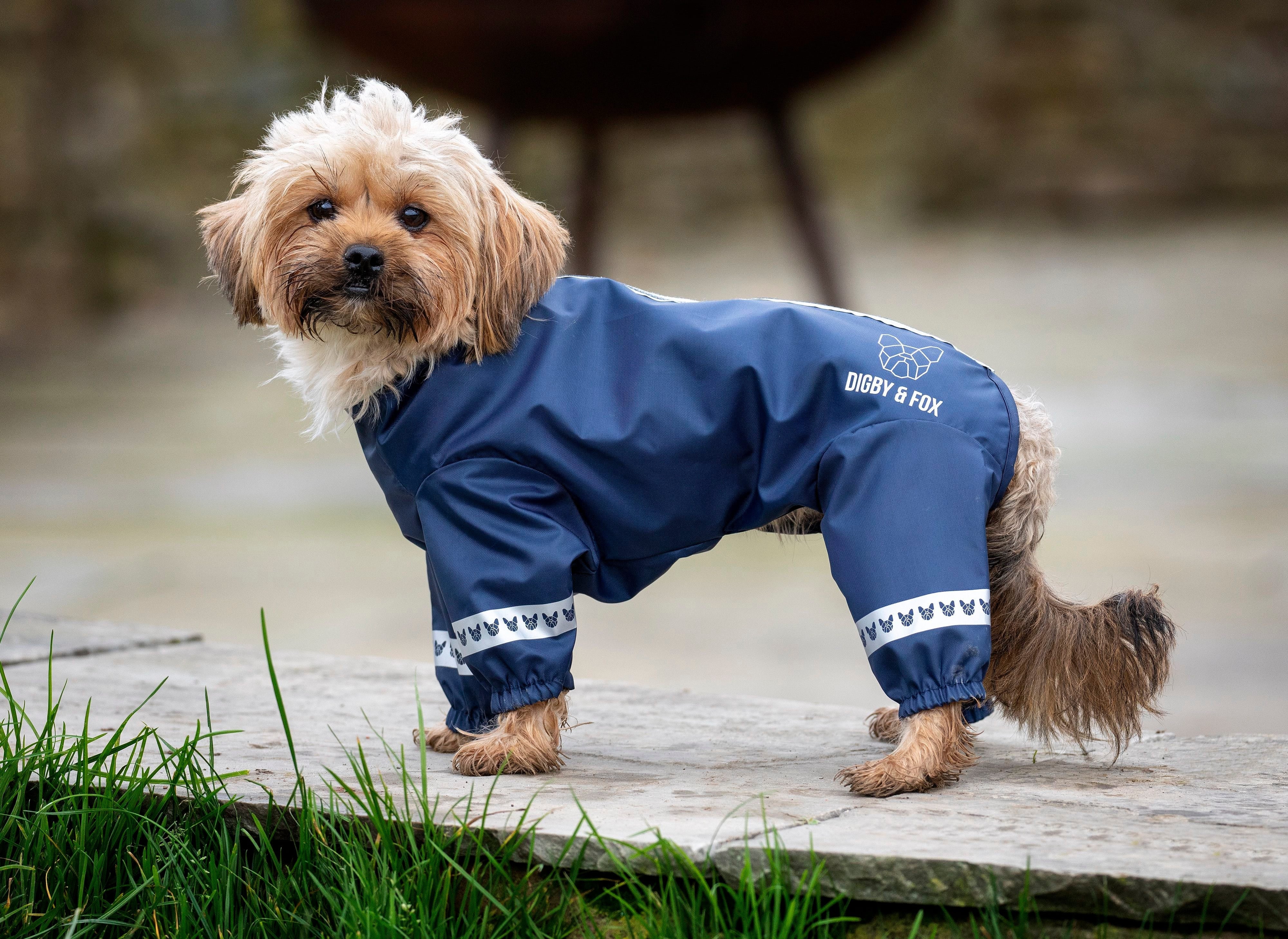 Digby & Fox All in One Waterproof Dog Suit – McCaskie