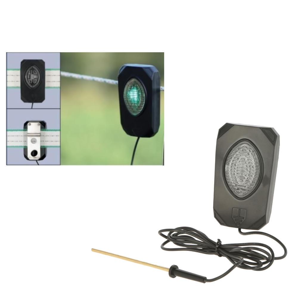 Rutland Pulse Flash – McCaskie
